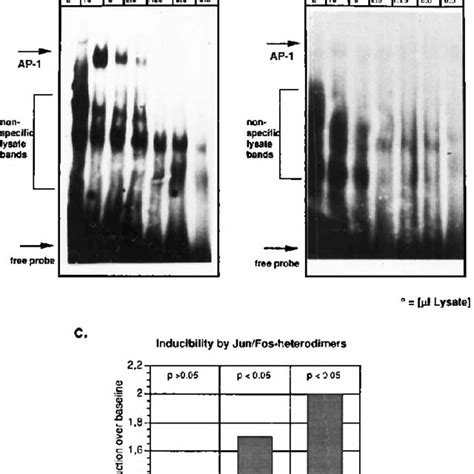 The Proximal Ap 1 Site A2 Preferentially Binds Jun Fos Heterodimers