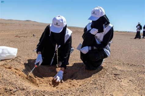 محمية الملك سلمان تزرع 8000 شتلة في تبوك وحائل جريدة المدينة