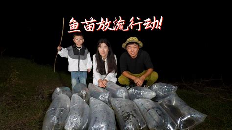 又到买鱼苗放流的时候了！钓鱼佬多放鱼，才能不空军！ 我是野农 我是野农 哔哩哔哩视频
