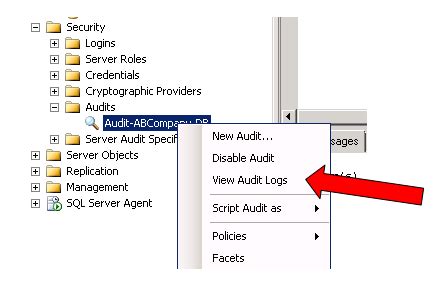 SQL Server Audit Feature SQLRx