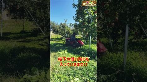 【超スッキリ】乗用草刈り機でりんご畑の草刈りをします！！ 草刈り Atex 田舎暮らし 【ハイガー】チェーンソー・薪割り機・耕運機