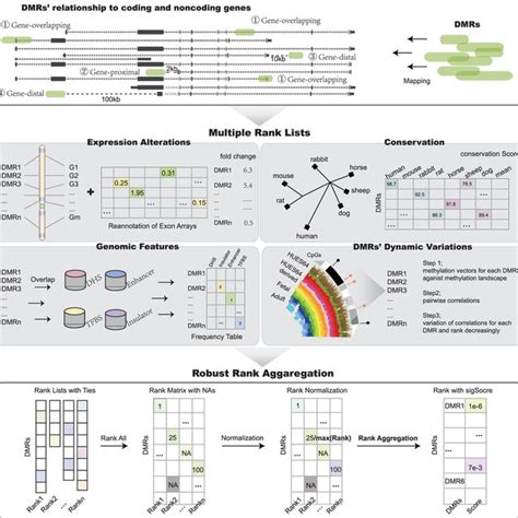 An Integrative Computational Workflow For Systematic Prioritization Of