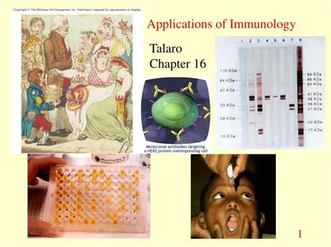 Ppt Applications Of Immunology Powerpoint Presentation Free Download