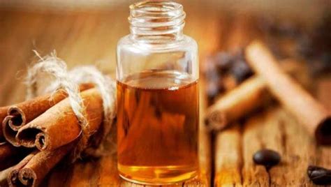 Aceite De Canela Contraindicaciones Beneficios Y Propiedades