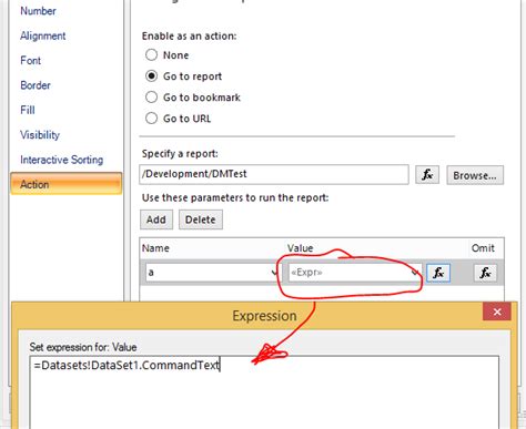 Reporting Services Ssrs 2012 How To Pass The Commandtext From My