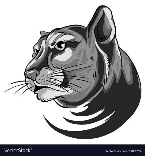 Cougar Panther Mascot Head Royalty Free Vector Image
