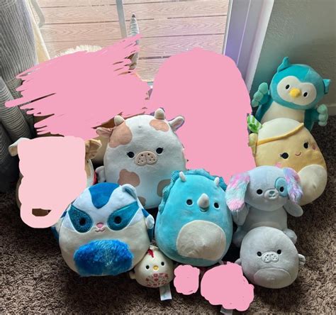 Pls Take Them Im So Broke Its Not Funny Pls Rbstsquishmallow