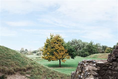 Tree Turning Autumnal By Stocksy Contributor Kitty Kleyn Stocksy