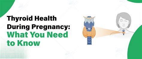 Thyroid Health During Pregnancy What You Need To Know