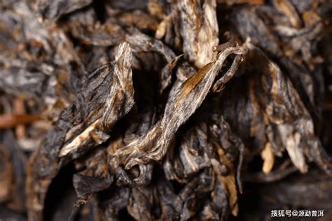 为什么仓储良好的普洱茶棉纸上有“油斑”？源勐告诉你茶油是什么影响