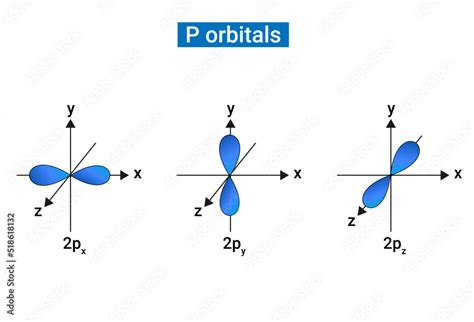 Shapes Of P Orbital Or Nodal Plane Stock Vector Adobe Stock