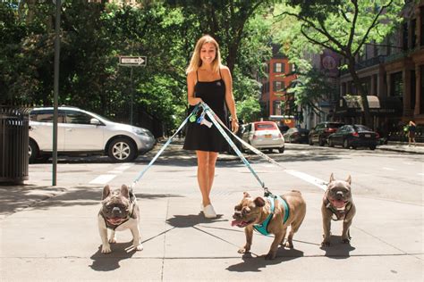 Danielle Vito On Linkedin Introducing The Points Pups Intern