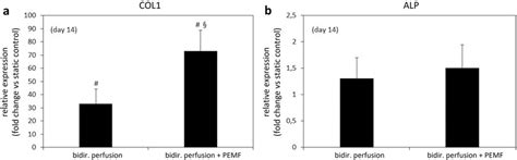 Real Time Pcr Results A Collagen Type I Col1 And B Alkaline