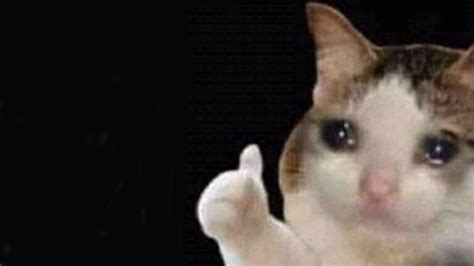 Cat Crying Thumbs Up Memes Imgflip