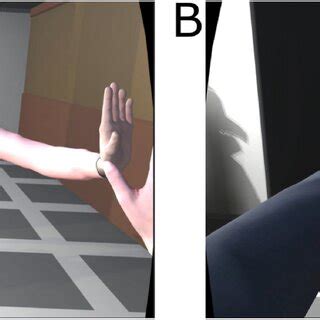 The Virtual Environment As Seen From The Perspective Of Two