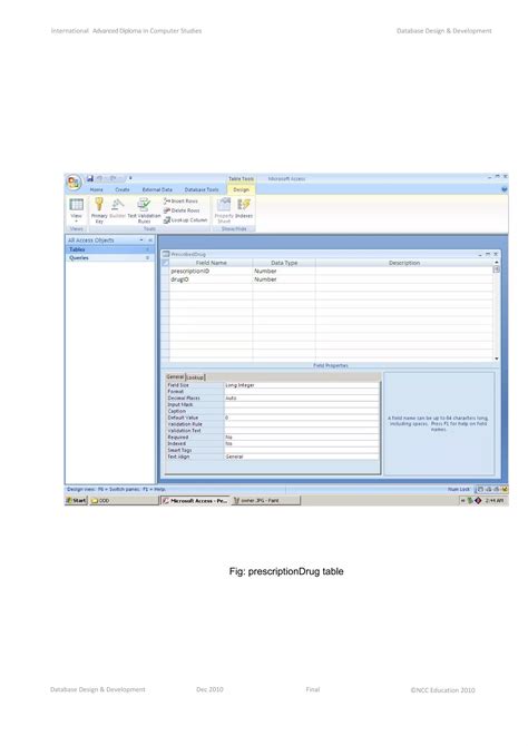 Database Design And Development Doc