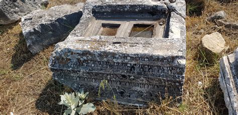 무료 이미지 자연스러운 식물 목재 잔디 근본적인 Groundcover 경치 자동차 타이어 관목 콘크리트 세례반 흙 구형 나무 고대 역사 벽돌