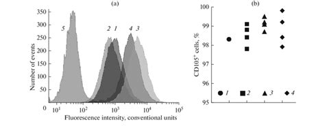 Expression Of Cd105 Surface Marker By Eahy926 Endothelial Cells 1