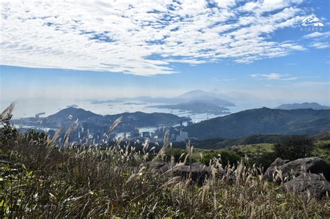大帽山禾秧山賞芒草訪妙高台山火瞭望台 山全部都係山