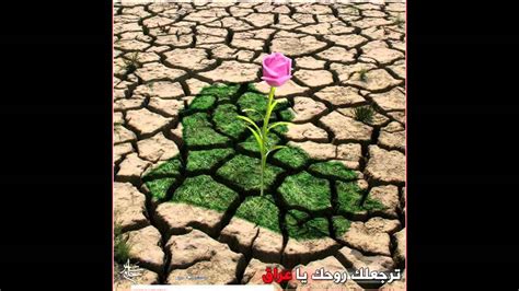 صباح الخير يا عراق على النجفي ميدياا2013 Youtube