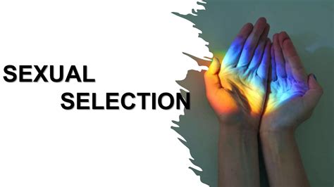 Sexual Selection Mating Behavior Pptx