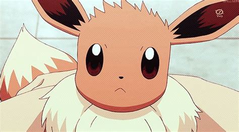 Pin By Fatima On Pokemon  De Eevee Pokemon Eevee Pokemon Alola Pokemon Eeveelutions