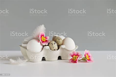 가벼운 파스텔 배경에 친환경 포장에 닭고기와 메추라기 계란 개념에 대한 스톡 사진 및 기타 이미지 개념 건강한 생활방식 건강한 식생활 Istock