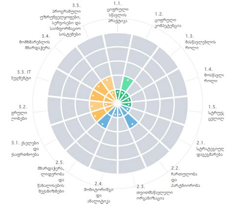 ციფრული სკოლა საქართველო ციფრული სტრატეგიების კვლევა