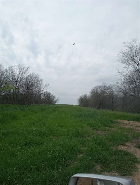 Cameron Eclipse Park Hipcamp In Cameron Texas