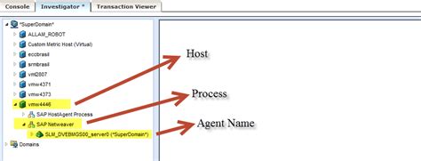 byte code adapter introscope java agent sap community