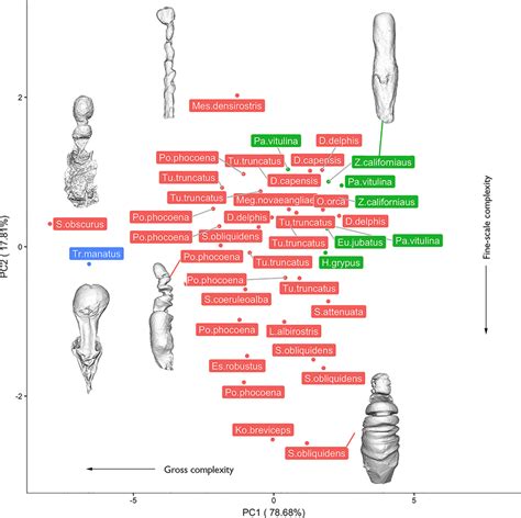 Uncorrected Pca Conducted On Raw Alpha Complexity Dataset Including