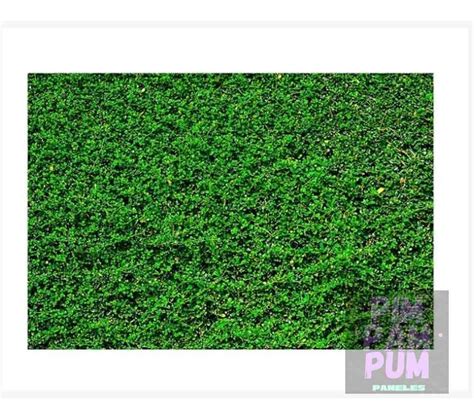 Panel Sublimado Rectangular Follaje Pimpampum