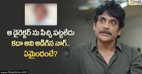 నాగార్జున బ్లాక్ బస్టర్ సినిమా వెనుక ఇంత కథ నడిచిందా Filmy Focus
