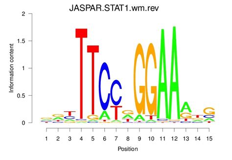 Background Research A New Approach To Motif Discovery