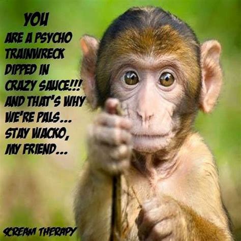 Pin By Tina Bonk On HA HA HA Funny Quotes Sarcastic Quotes Funny
