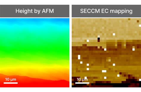 Scanning Electrochemical Cell Microscopy Seccm Park Systems