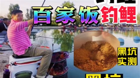 黑坑实测百家饭钓鲤鱼散炮孔雀羽浮漂 YouTube