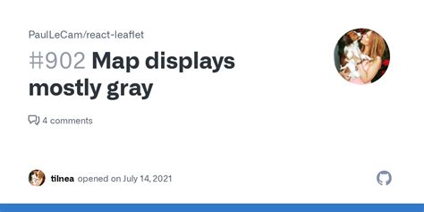 Map Displays Mostly Gray · Issue 902 · Paullecamreact Leaflet · Github