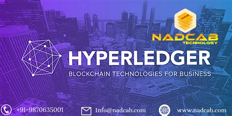 Hyperledger Blockchain Development Company Crypto Bite