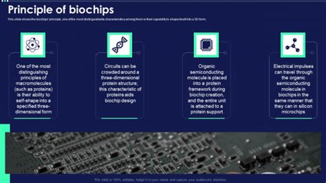 Principle Of Biochips PowerPoint Templates Slides And Graphics