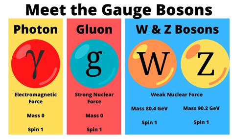 What Are Bosons Space