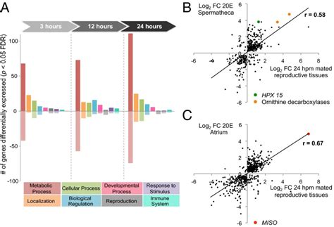 Sexual Transfer Of The Steroid Hormone 20e Induces The Postmating