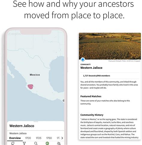 AncestryDNA Genetic Ethnicity Test Kit Get Your Ethnicity Estimate