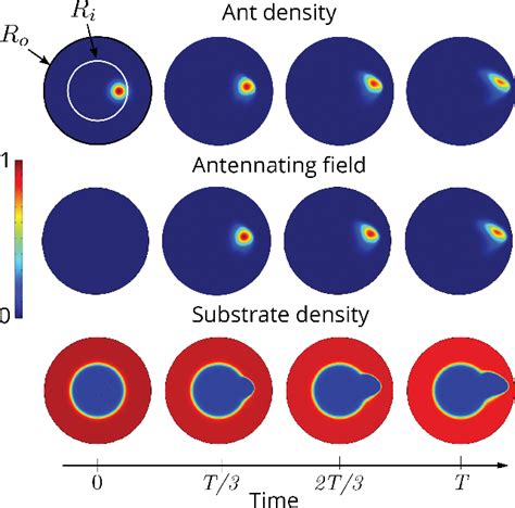 Figure 1 From Dynamics Of Cooperative Excavation In Ant And Robot