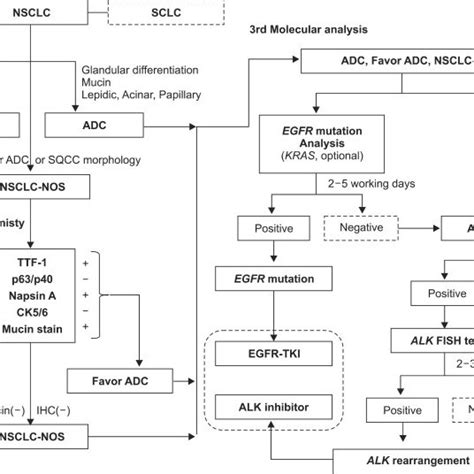 A Diagnostic Algorithm For Histologic Subtyping And Molecular Analysis
