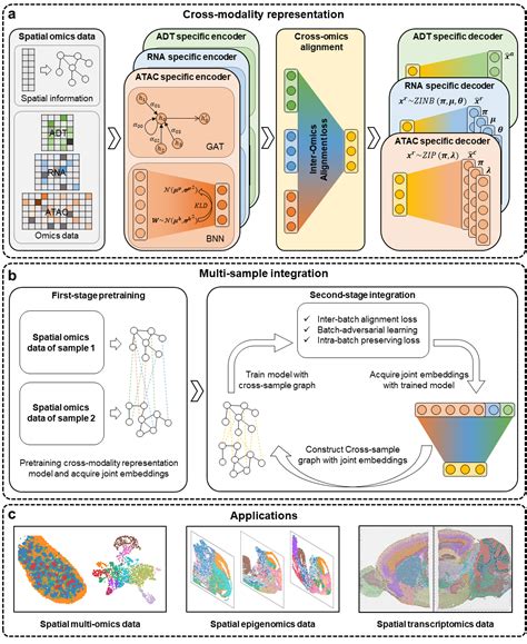 Cross Modality Representation And Multi Sample Integration Of Spatially