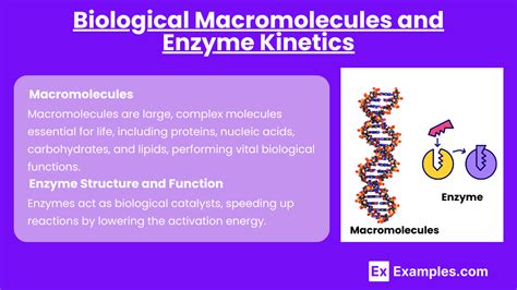 Foundation 2 Cells Practice Passages Biological And Biochemical Foundations Of Living Systems