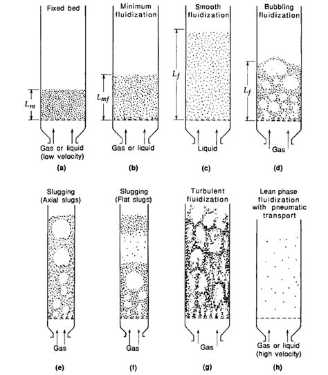 Various Stages Of Fluidization Download Scientific Diagram Various Stages Of Fluidization Download Scientific Diagram