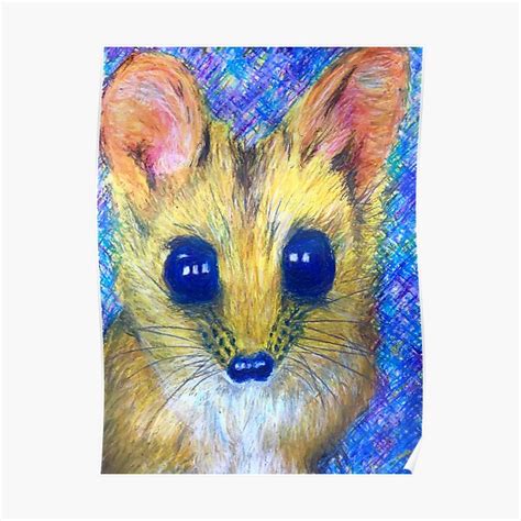 Arty Dunn Cute Aussie Marsupial Drawing Poster For Sale By