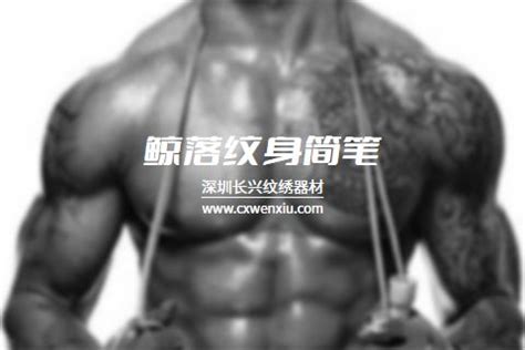 鲸落纹身简笔 深圳长兴纹身纹绣器材官网